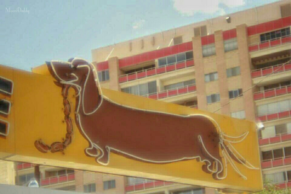 The the Dog House Image By moondaddy666